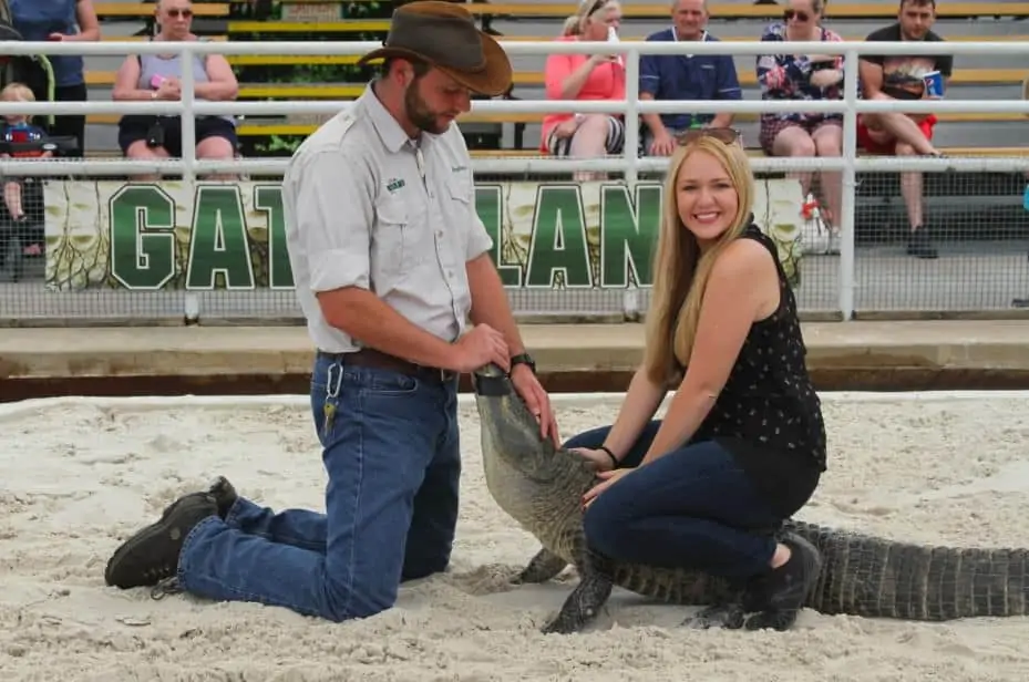 Gatorland: For The Animal Loving Adventurer