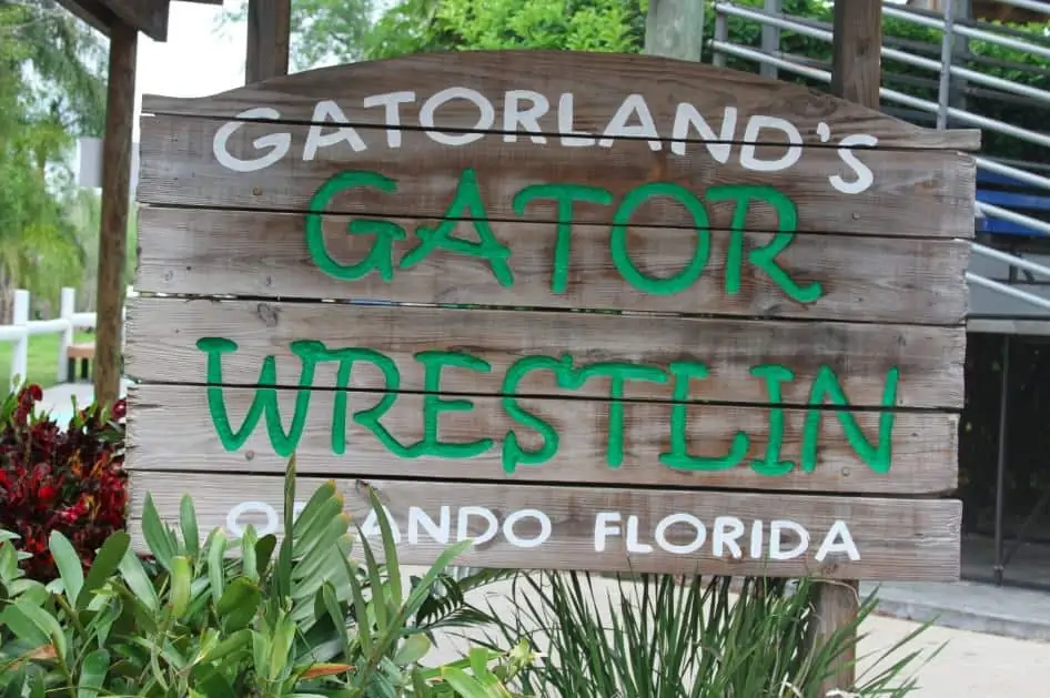 Gatorland: For The Animal Loving Adventurer